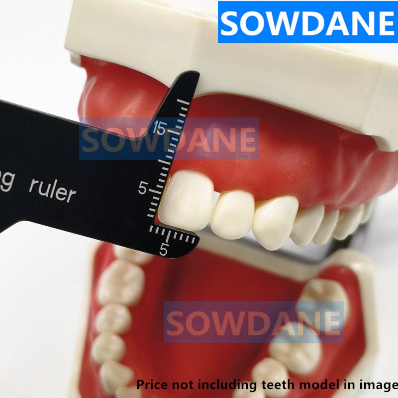 Dental Precision Measuring Ruler Span Measure Scale Medical Tool ...