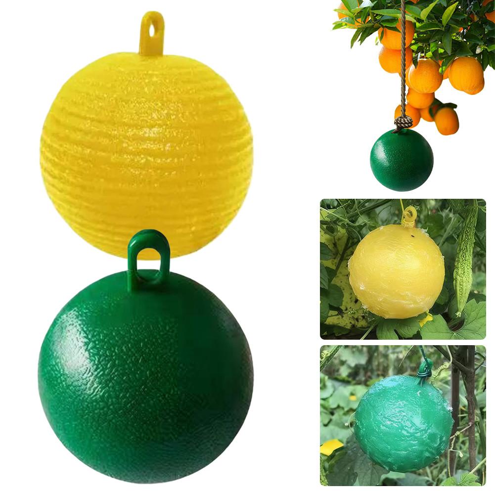 ️2Pcs Fruit Fly Traps Sticky Fruit Fly Trap Ball Multifunction Insect ...
