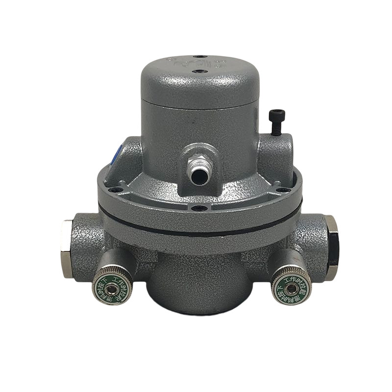 Flexo Ink Pump One-way Pneumatic Diaphragm Pump Printing Machine Flexo ...