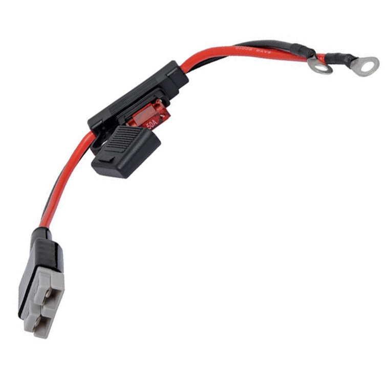 8Awg 300mm cable 50A Anderson style plug connector to M8 Eye Ring ...