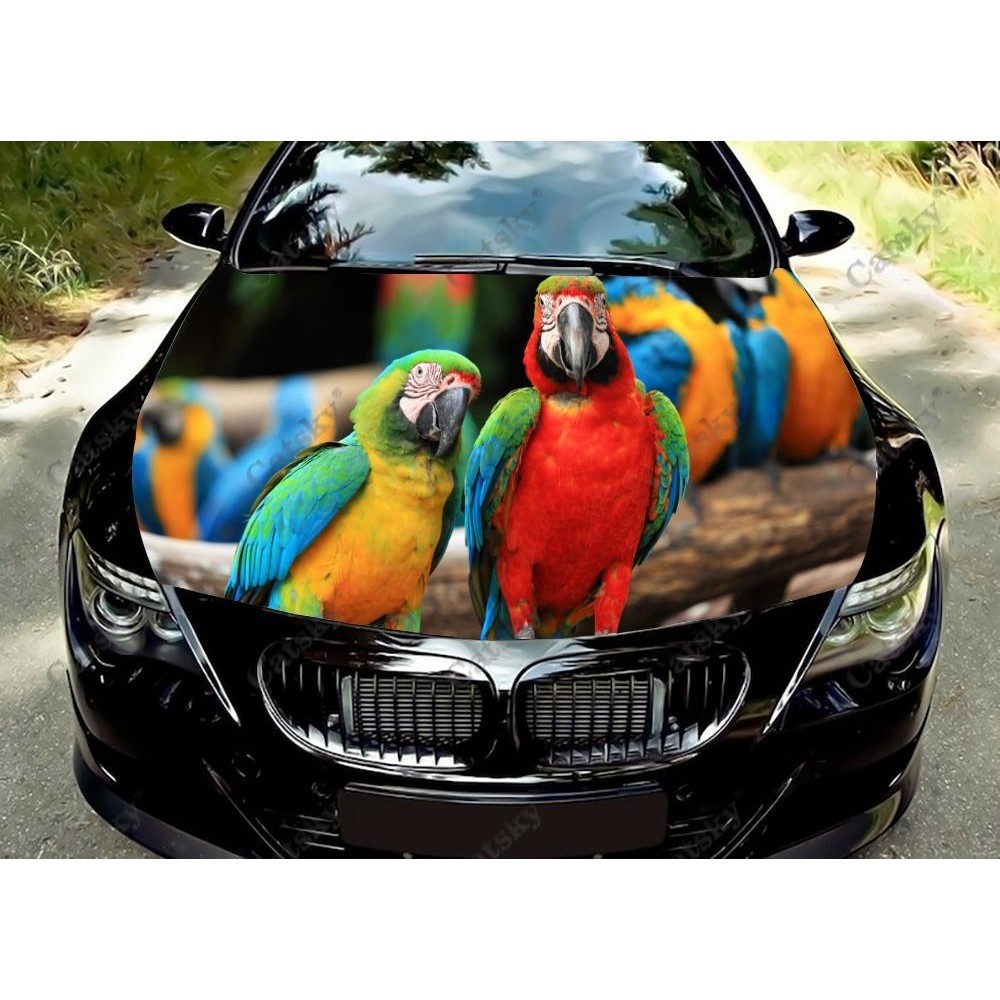 Parrot Animals Car stickers engine hood stickers auto parts custom ...
