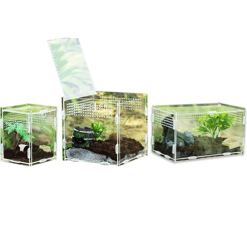 Reptile Terrarium Acrylic Reptile Container Unique Anti Escape Design ...