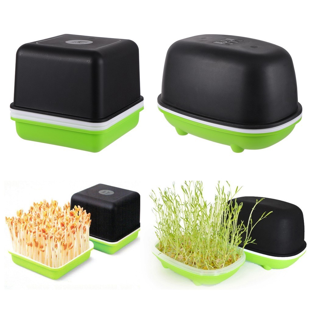 Seed Sprout Tray Garden Hydroponic Peanut Sprouting Box Pea Bean ...