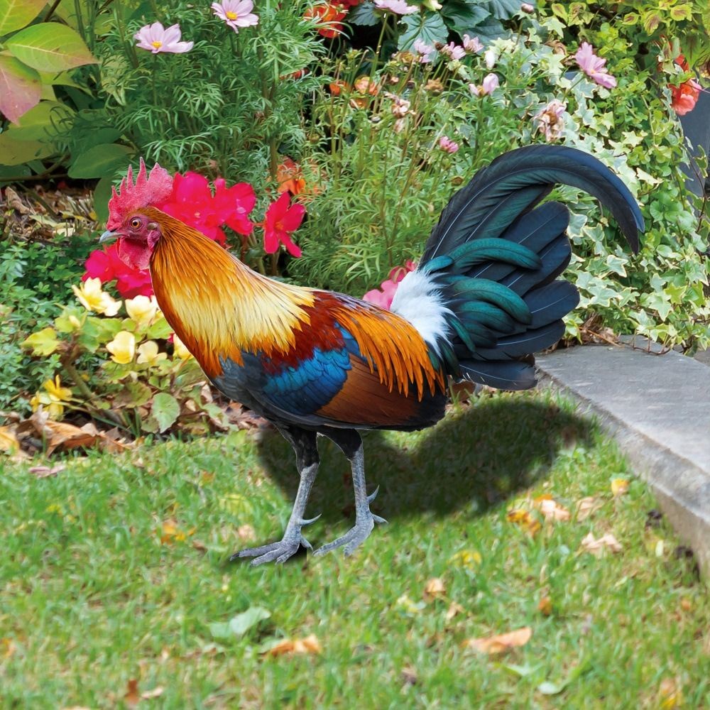 유New Acrylic Realistic Garden Ornaments Rooster Statues Sculptures ...
