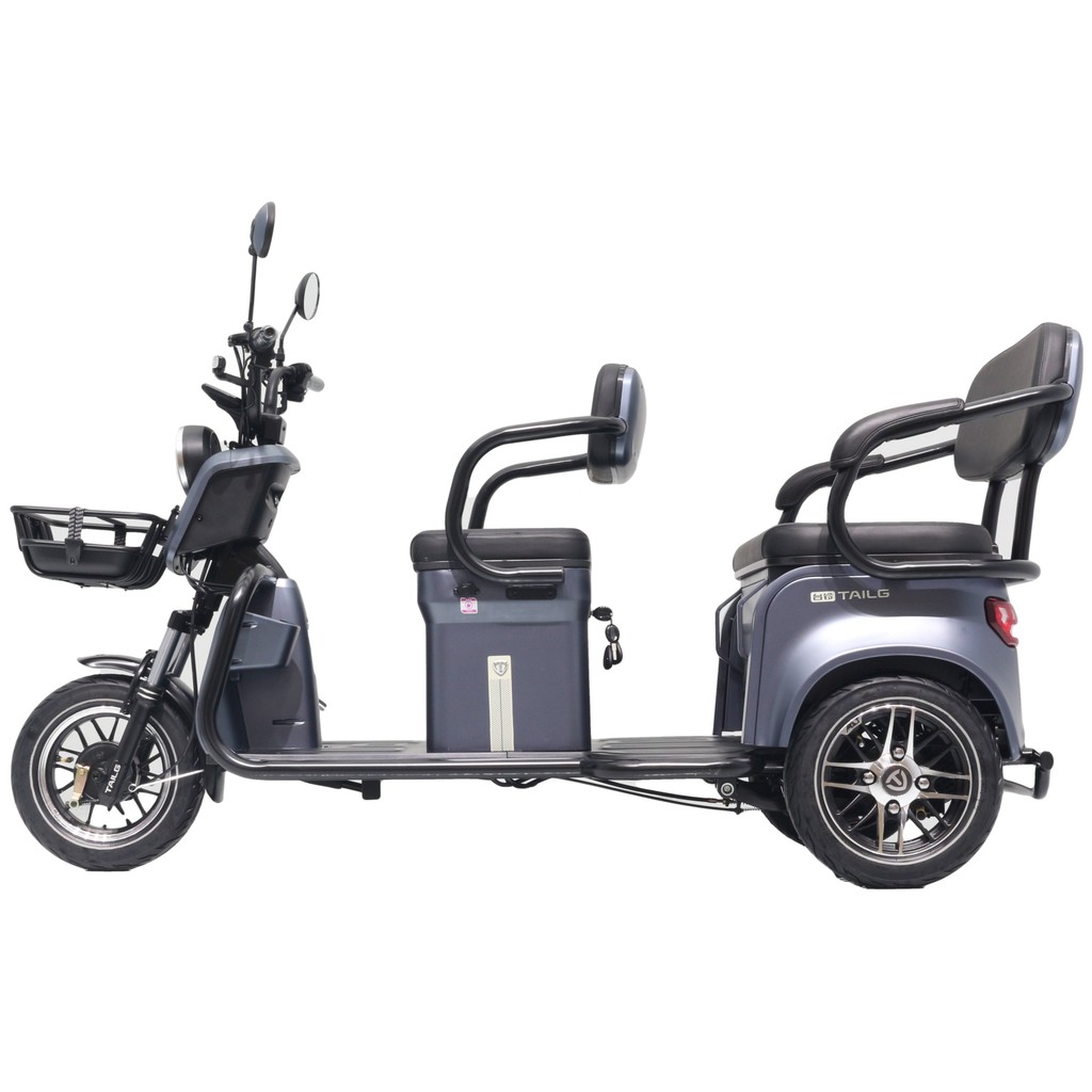 Tailg Factory Direct Sales High Power 500W 3 Wheels Motorcycle Other ...