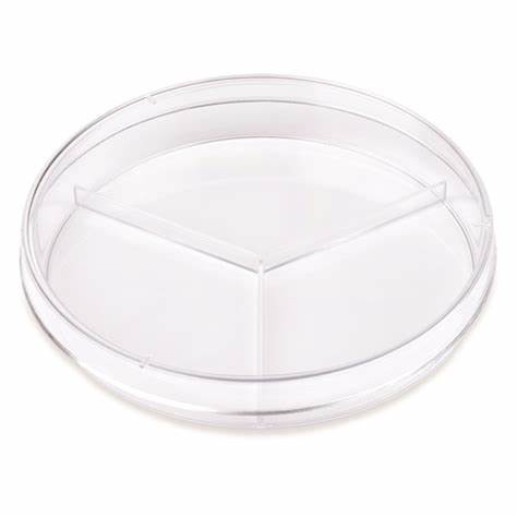 Laboratory plastic triple vent culture petri dish with cover | Shopee ...