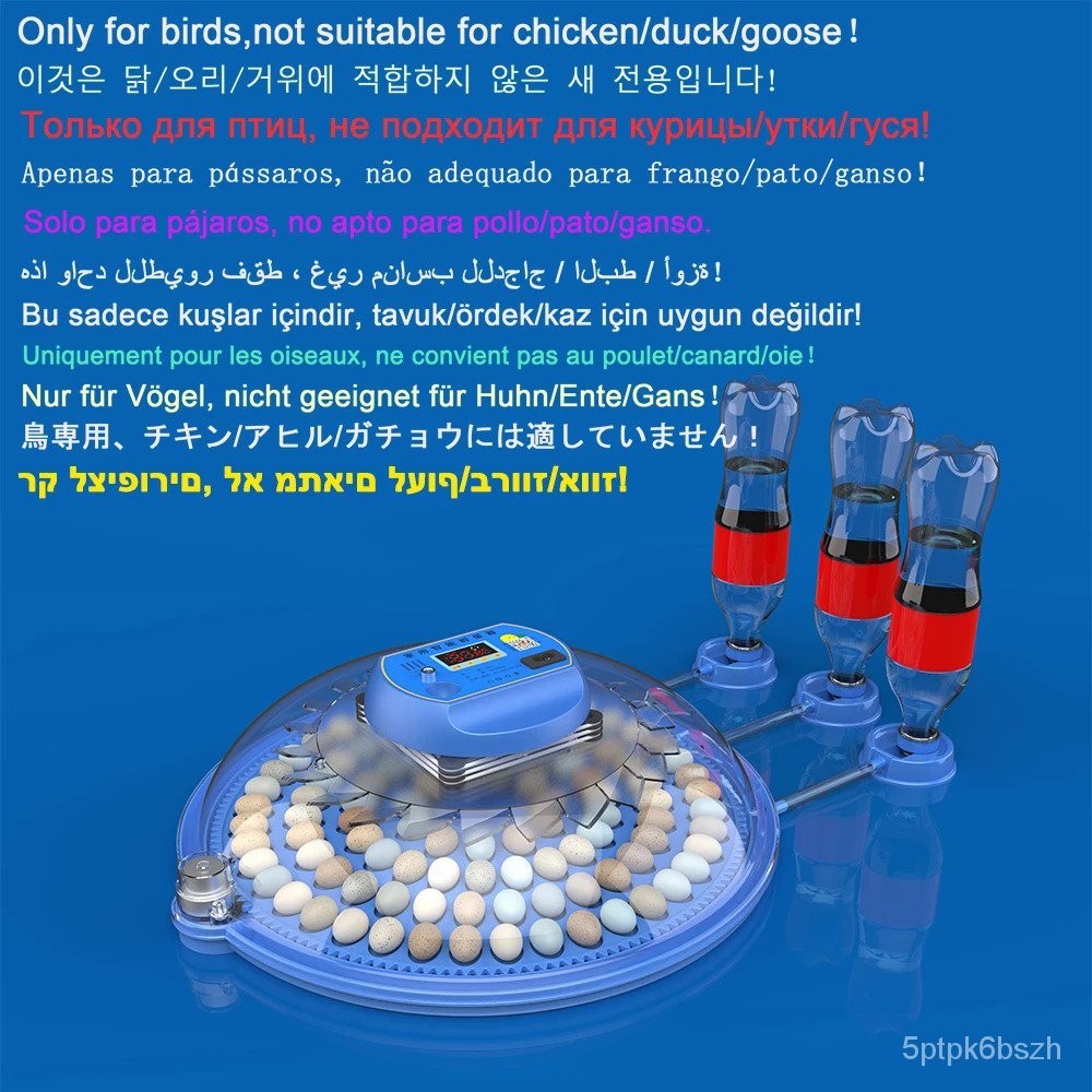 26 Eggs Incubator Automatic Egg Incubator for Egg Turning Chicken Duck ...