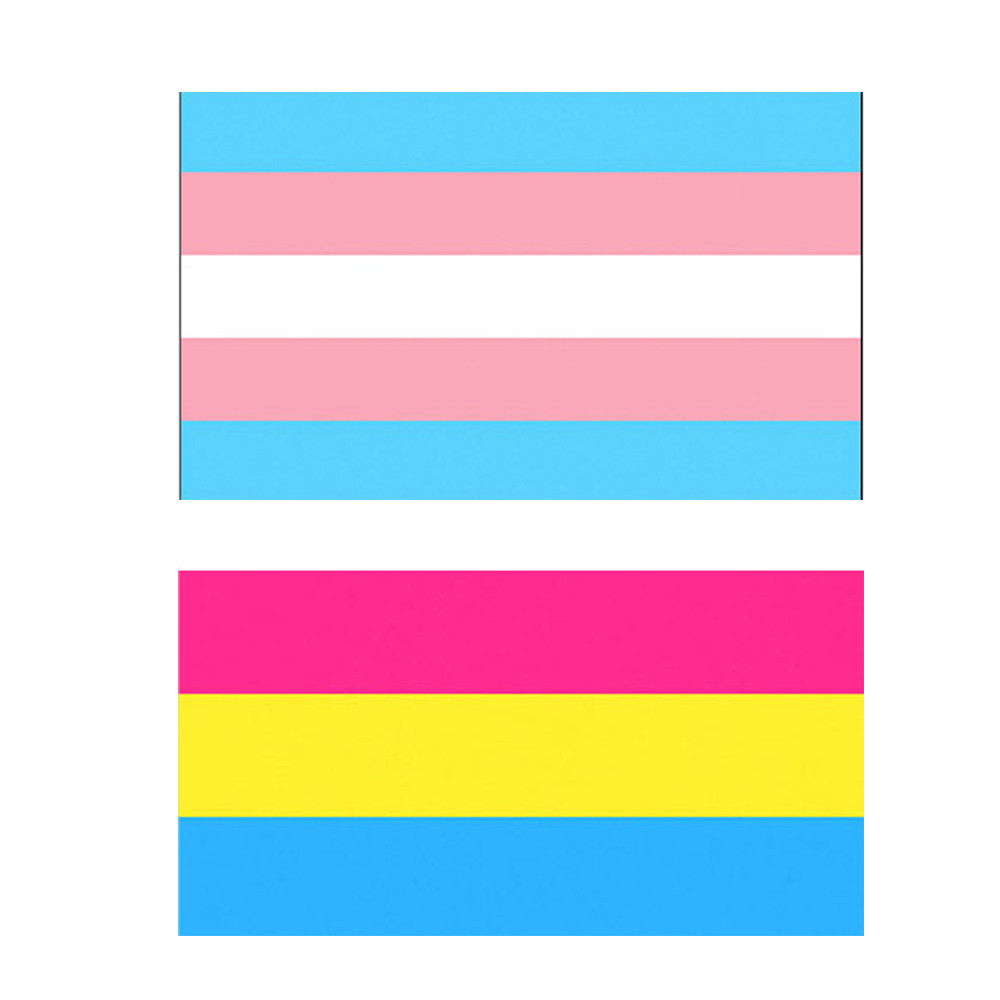 90x150cm LGBT Trans Transgender Pansexual Pride Flag | Shopee Philippines