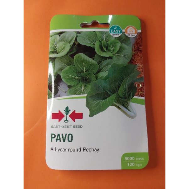 Pavo (5000 seeds) Pechay by East West Seed | Shopee Philippines