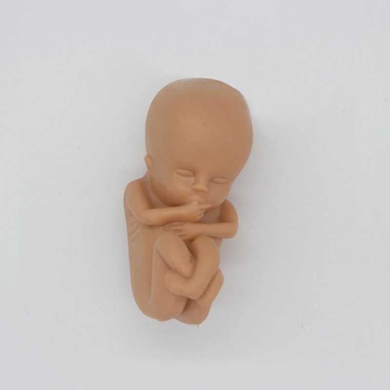 Human Baby Figure Mini Dolls Organs Anatomy Skeleton Medicine Teaching ...