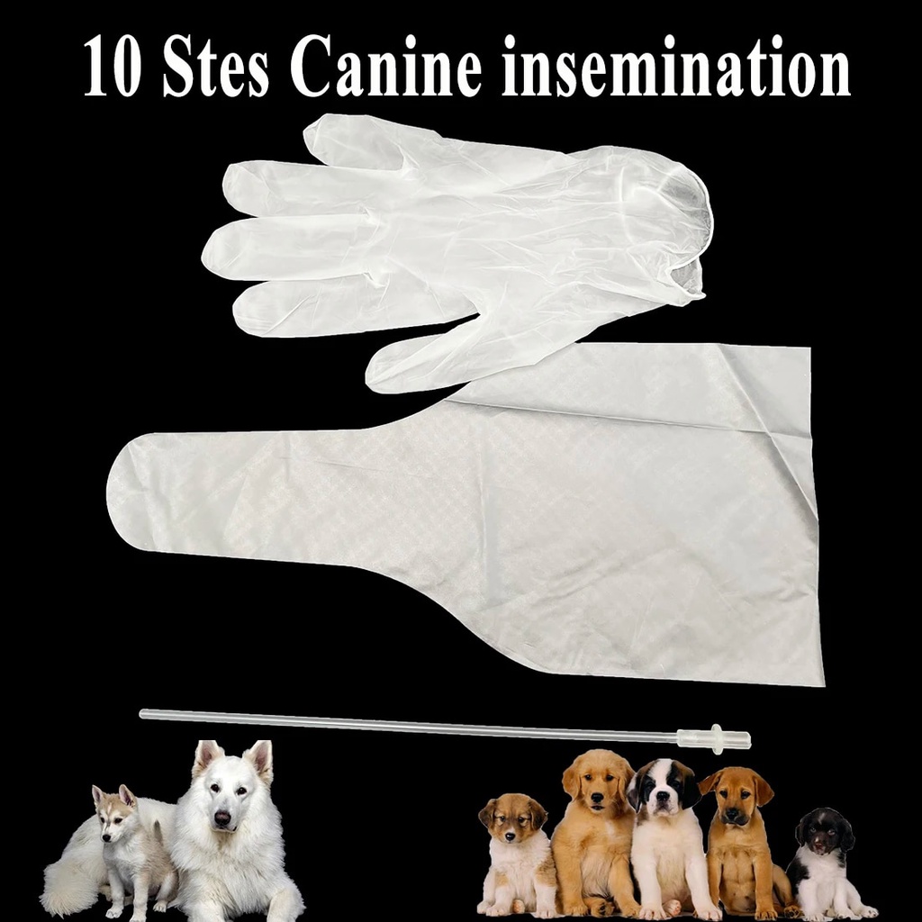 ۩1Set Pet Dog Artificial Insemination Kit Tube Semen Collect Bags ...