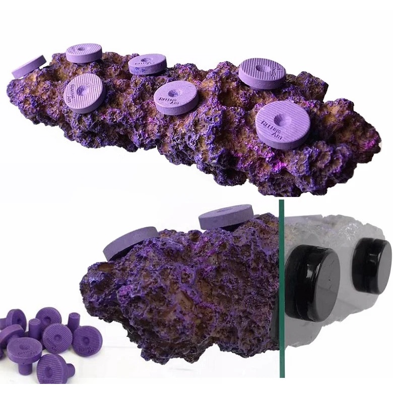 Reefing Art Aquarium Marine Coral Fish Tank Magnetic Real Reef Frag ...