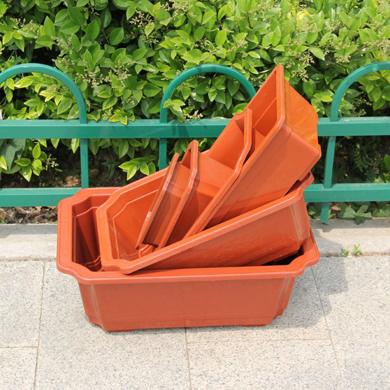 ♨S-2X Rectangular Pots Simple Plastic Succulent Tree Bonsai Drainage ...