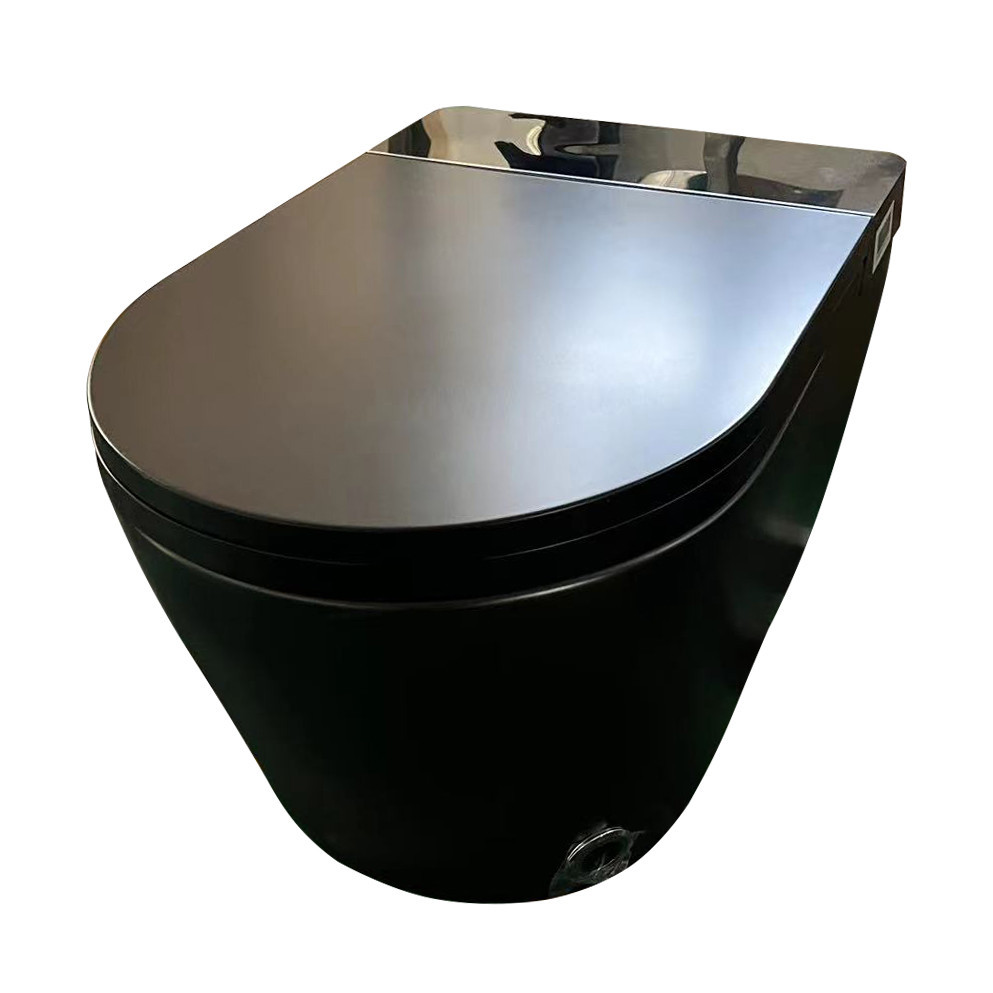 웃Sanitary Ware Washdown Tank Hidden Wallhung Smart Toilet Wall Hung WC ...