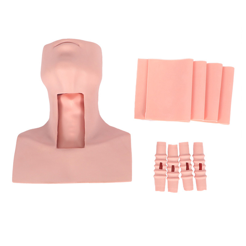 1 Set Advance Thyrocricocentesis Tracheostomy Simulator Tracheotomy ...