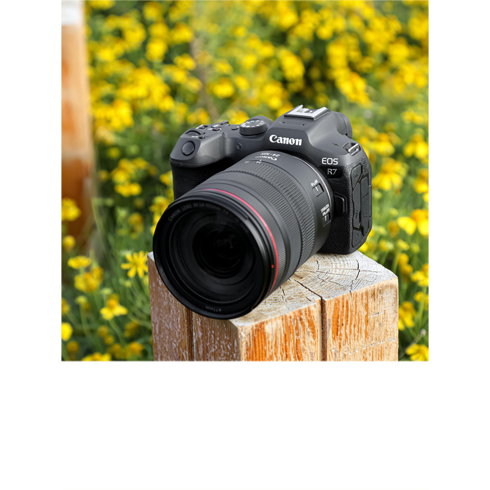 Canon Camera Canon EOS R7 APS-C Professional Mirrorless Camera Digital ...