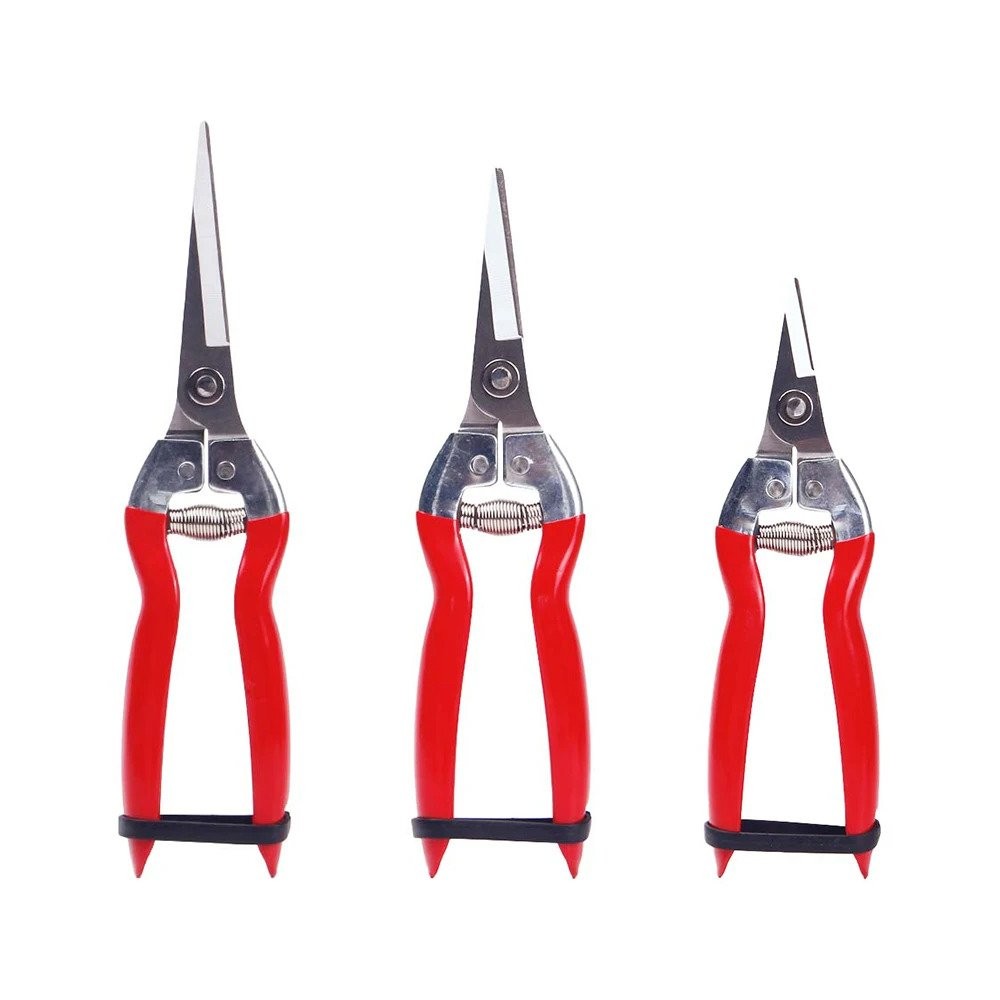 Pruning Tree Shear Grape Pruner Cutting Scissors for Garden Grape ...
