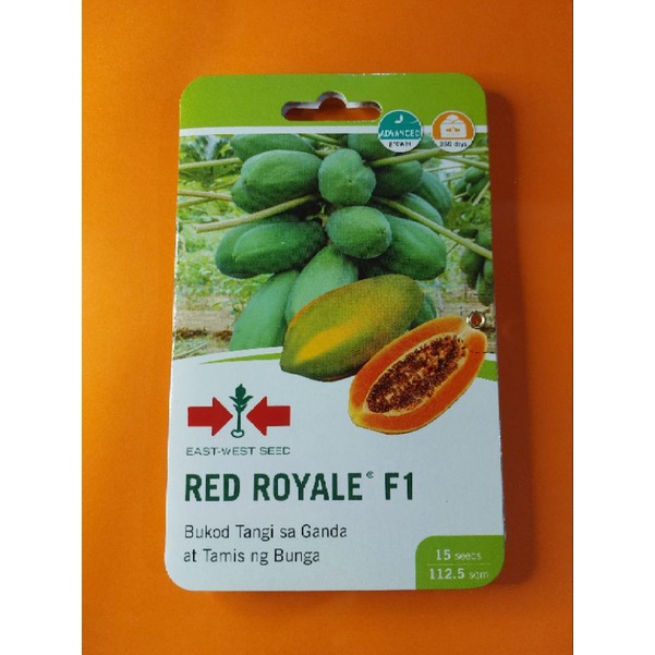 Red Royale F1 (15 Seeds) Hybrid Red Papaya by East West Seed | Shopee ...