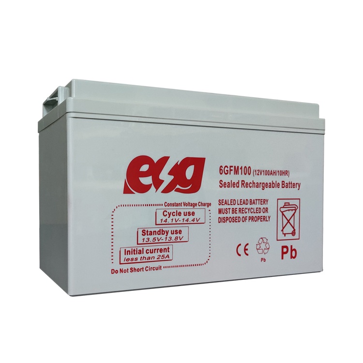 ESG Industrial Battery Long Life Battery AGM 12V 100ah guangdong ...