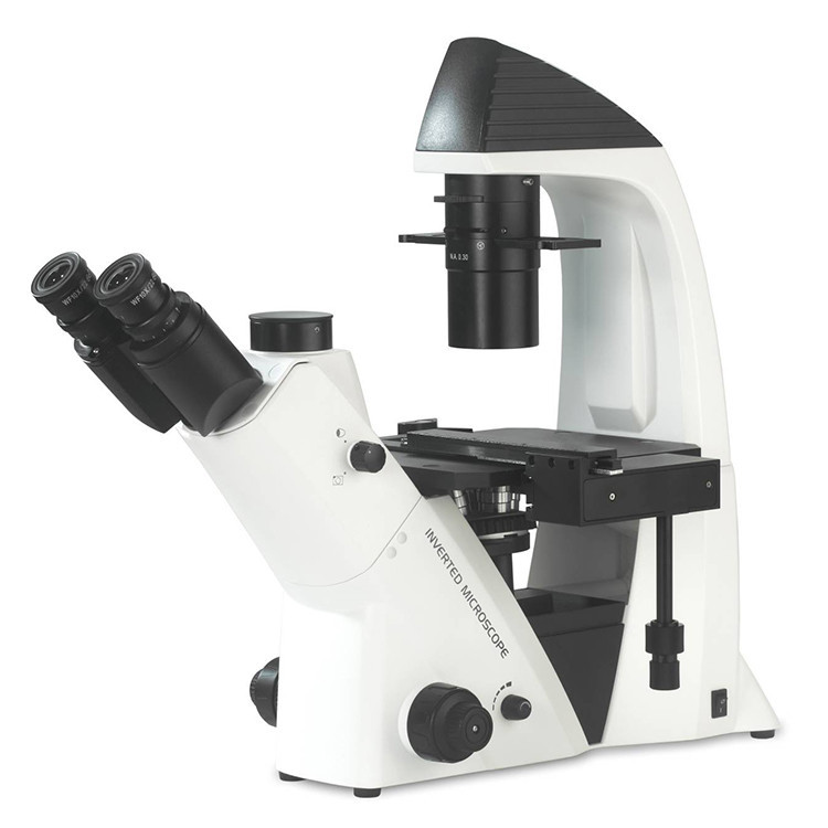 Laboratory Inverted Biological Microscope Inverter Fluorescent ...