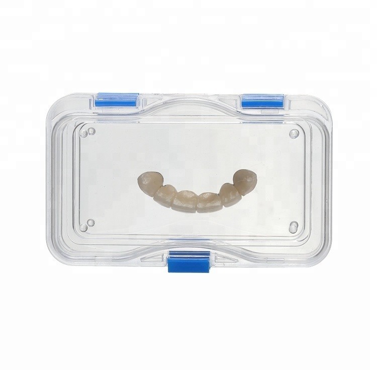 Plastic Transparent Membrane Dental Lab Box | Shopee Philippines
