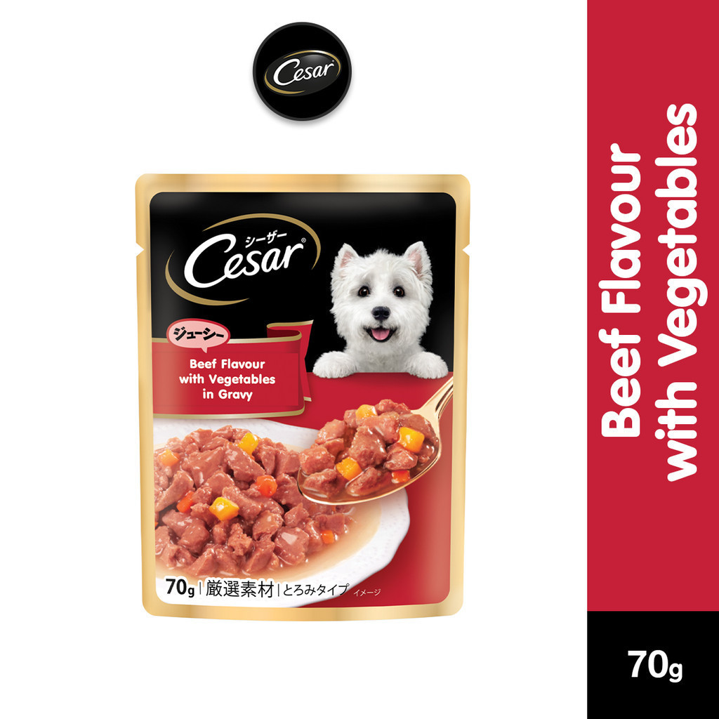 CESAR Dog Wet Food Pouch Adult Beef Flavor With Vegetables In Gravy 70g ...