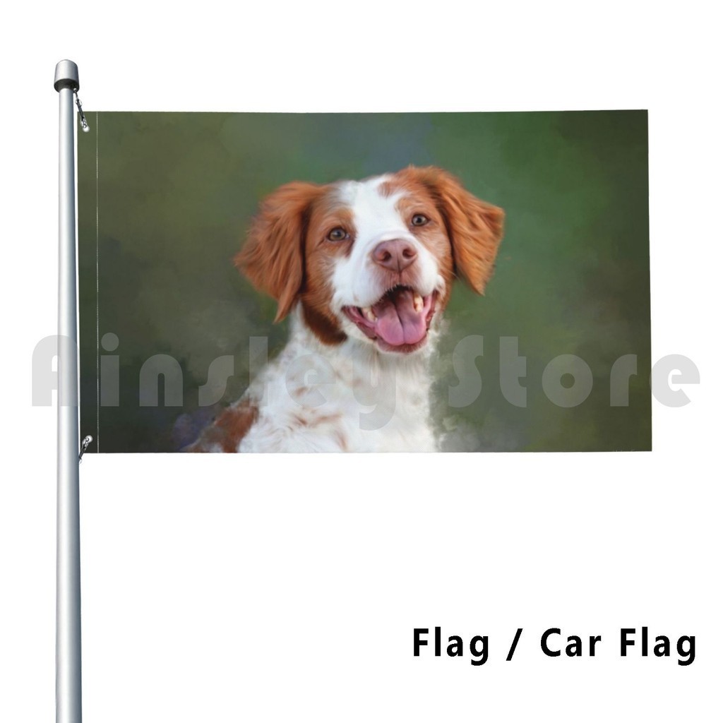 ☃Brittany Spaniel Dog Art Outdoor Decor Flag Car Flag Brittany Spaniel ...