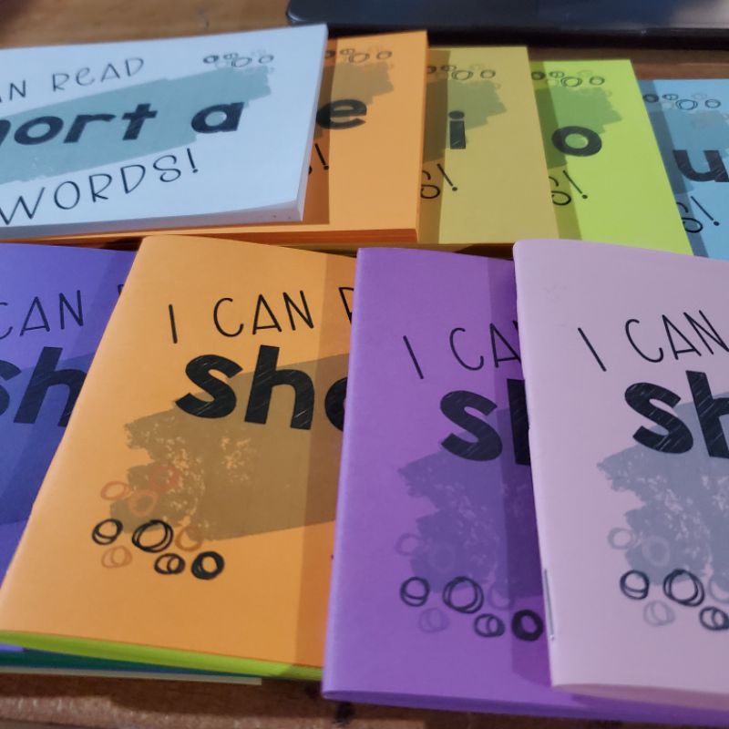 5 pieces CVC booklets|48pages|Assorted Short Vowel Mini Flipz|Booklet ...