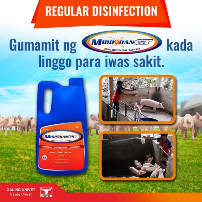 Microban GT (Univet) 1Liter | Liquid Disinfectant/Sanitizer | Shopee ...