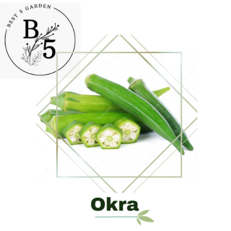 Best Pack Okra (50pcs) | Shopee Philippines