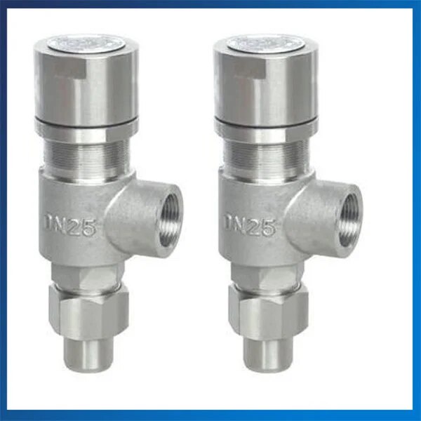 Welding Pressure Relief Valve DN25 Air Safety Valve | Shopee Philippines