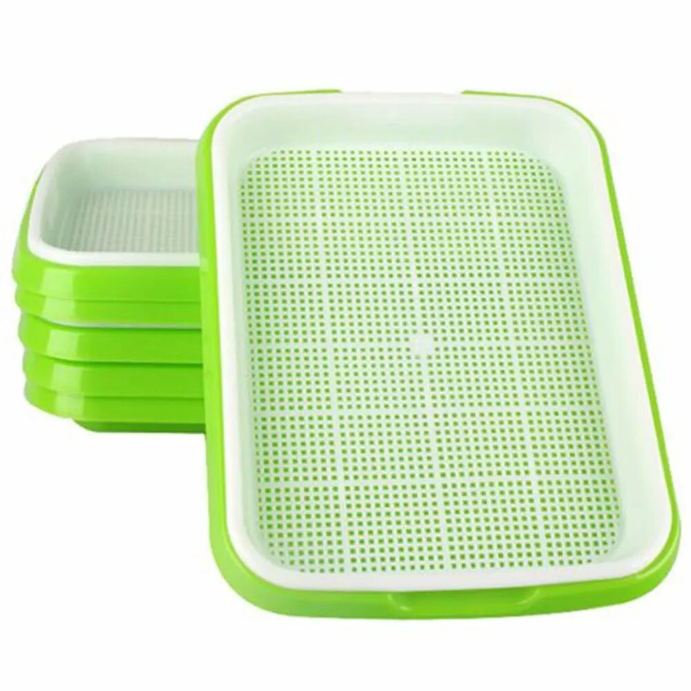 Seed Sprouter Tray Double Layer Soilless Culture Hydroponic Nursery ...