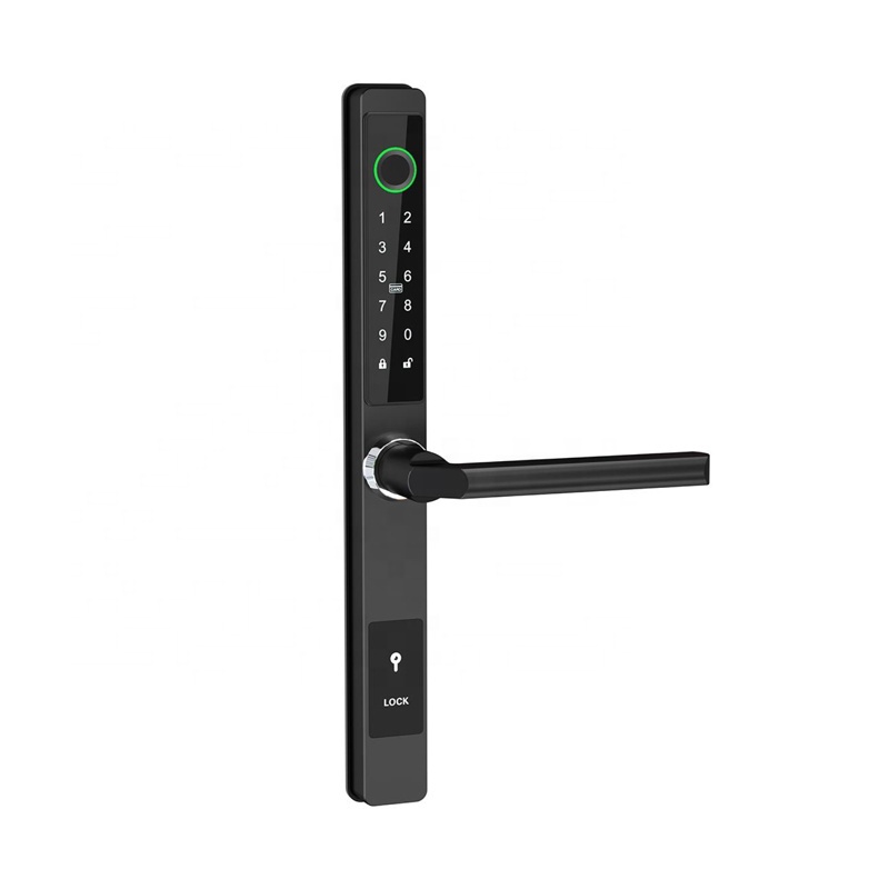 TTlock Broken Bridge Aluminum Waterproof Smart Fingerprint Door Lock ...