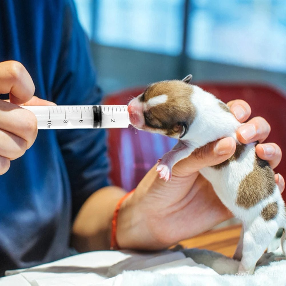 50pcs/lot 5ml Plastic Disposable Injector Syringe For Refilling ...