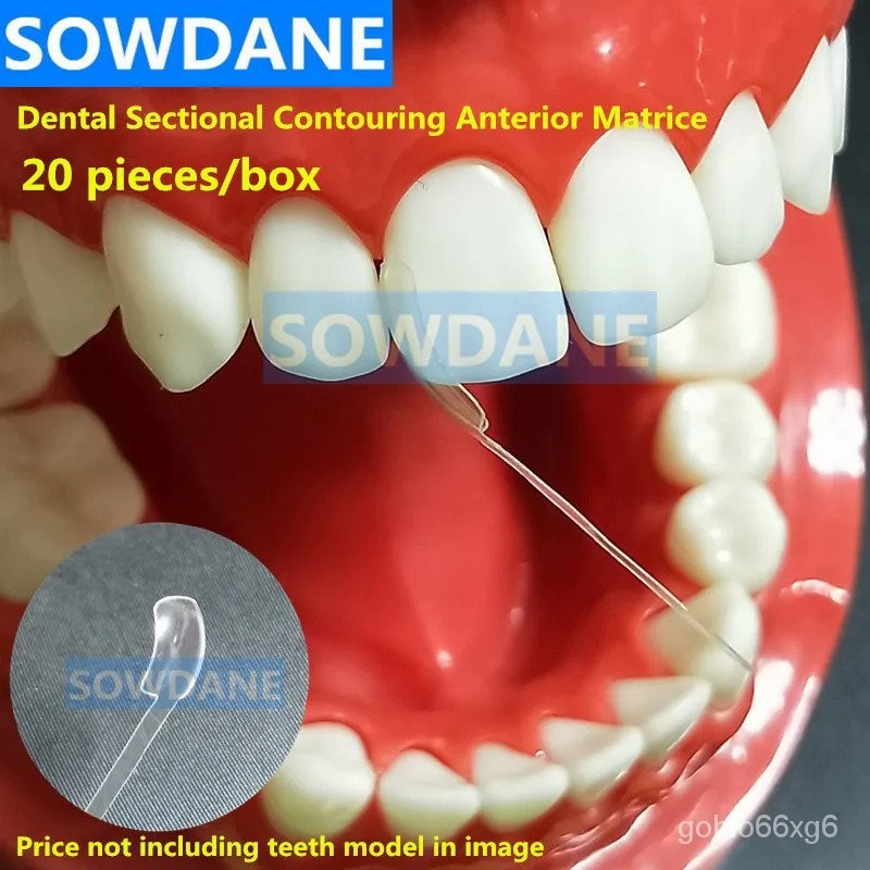 Dental Sectional Contoured Matrice Dental Transparent Proximal Anterior ...