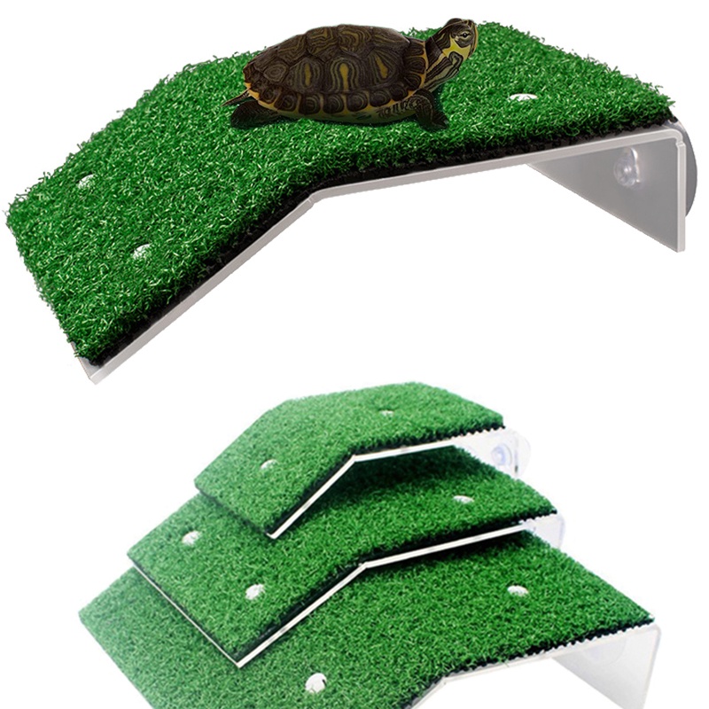 Turtle Basking Platform Resting Terrace With Fake Turf Tortoise Ramp ...