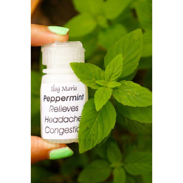 ☽ILOG MARIA AROMATHERAPY OIL (PEPPERMINT) | Shopee Philippines