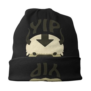 ☭Yip Yip Appa Avatar The Last Airbender Bonnet Hats Hip Hop Skullies ...