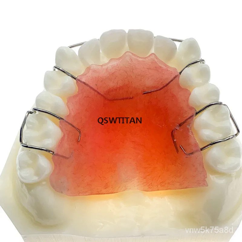 Newly launched Retainer demo model Maxillary retainer tooth model ...