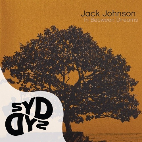 JACK JOHNSON - IN BETWEEN DREAMS STANDARD VERSION VINYL LP | Shopee ...