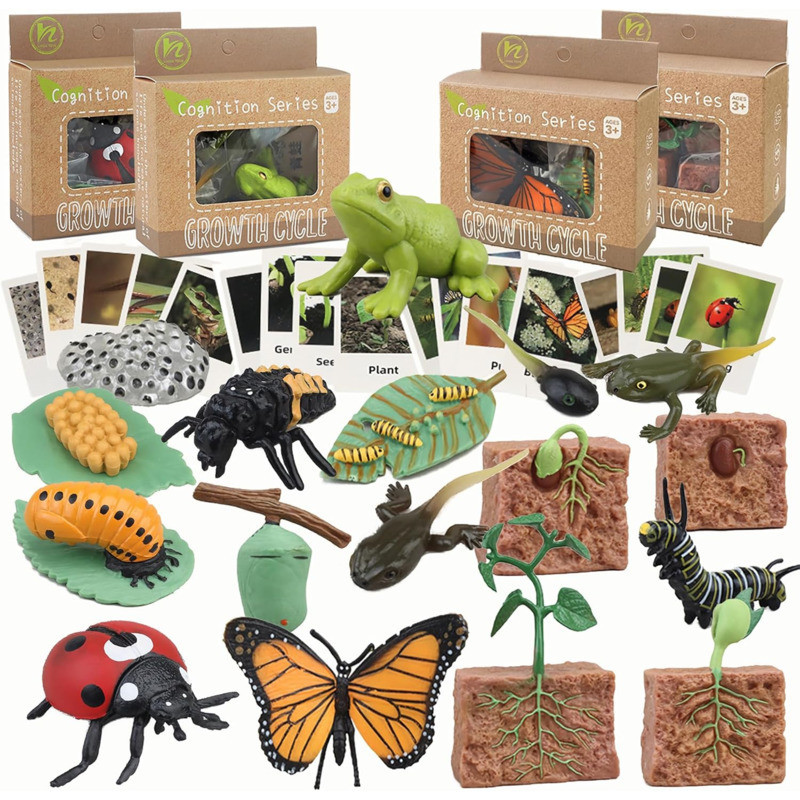 Montessori Life Cycle Animal Figures With Flash Cards Educational ...
