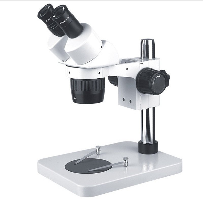 ⚕20X 40X LED Binocular Stereo Microscope PCB Solder Tool Insect Plant ...