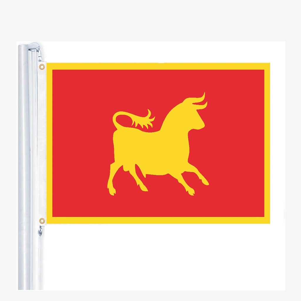 ┱Caesar Legion flag flags,90*150CM,100% polyester,banners and flags M ...
