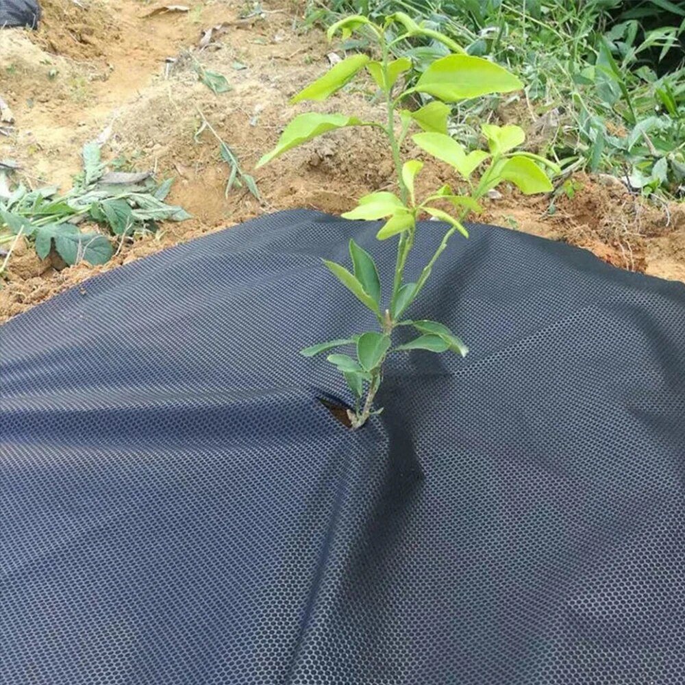 10M/50M PP Geotextile Agricultural Anti Grass Cloth Farm-oriented Weed ...