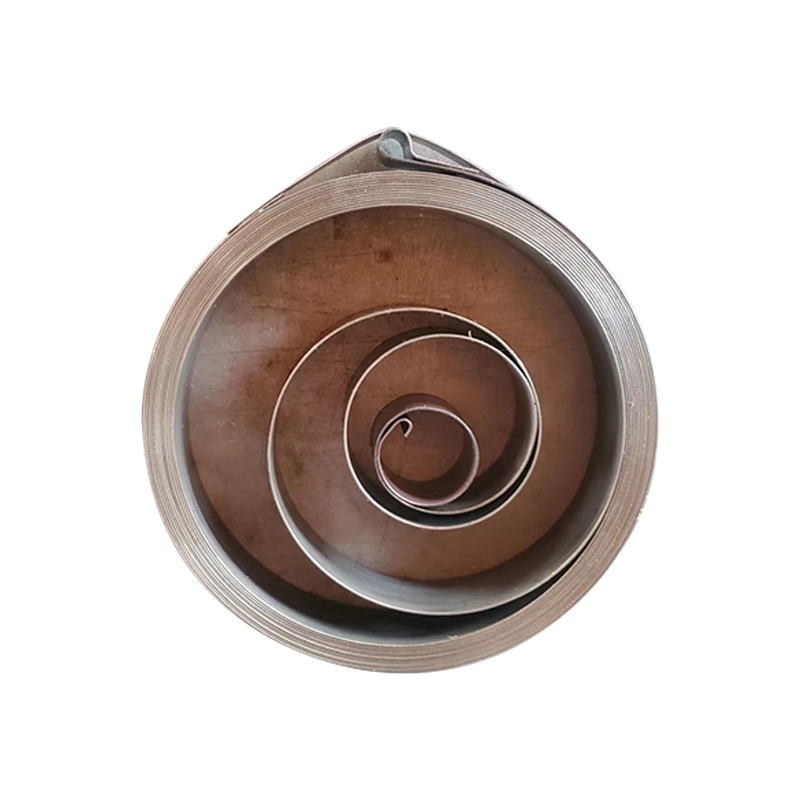 Custom Stainless Steel Flat Coil Spiral Tension Carbon Steel Motor ...