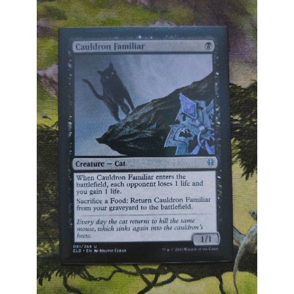 MTG - Cauldron Familiar - ELD | Shopee Philippines