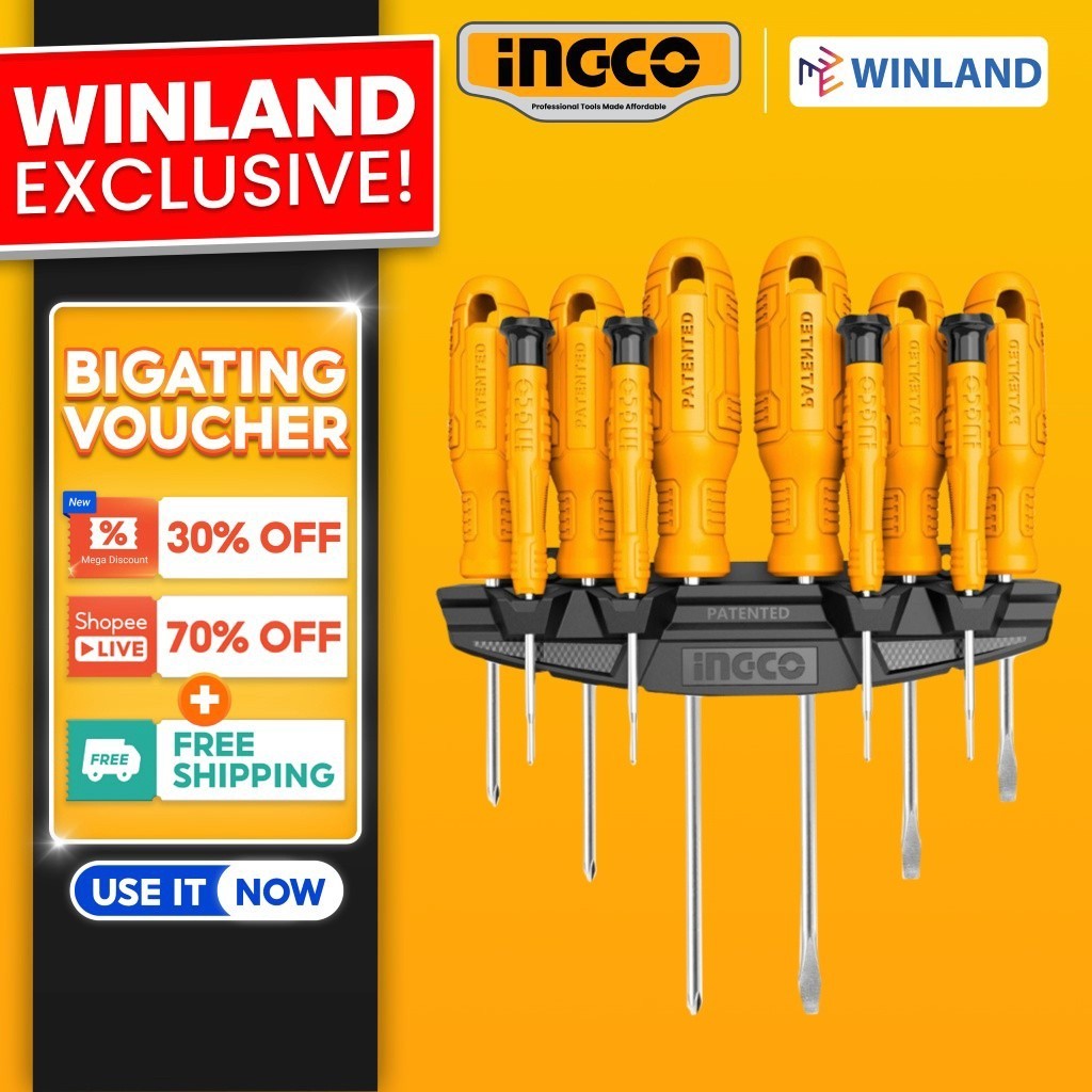 Ingco by Winland 10PCS Screwdriver and Precision Screw driver Set (SS ...