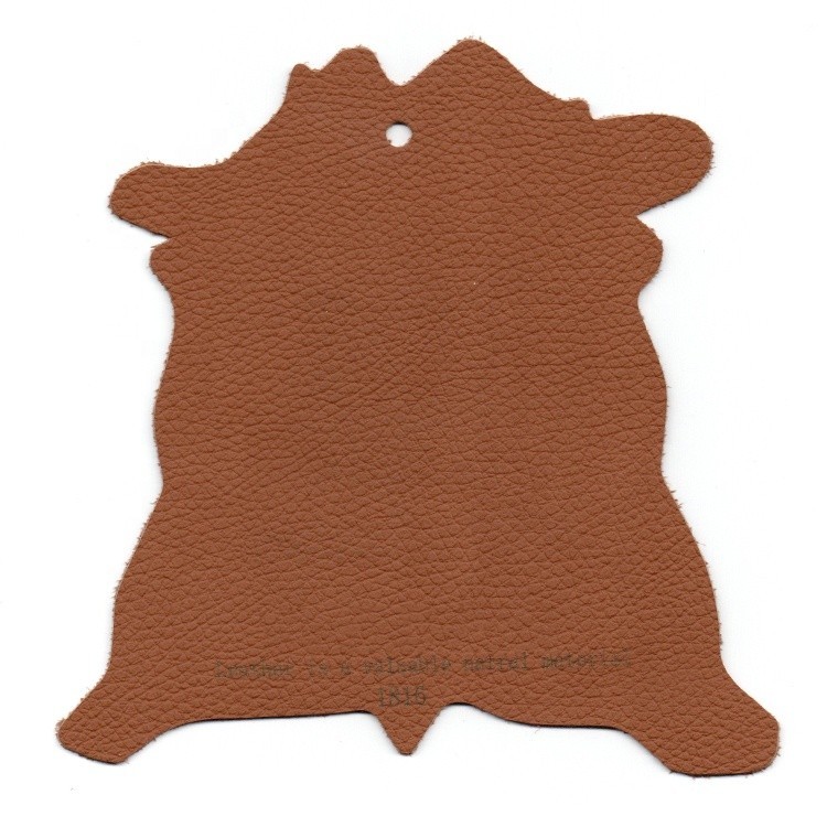 Raw Cow Hides Skins Cowhide leather Large Quantity wholesale supply ...