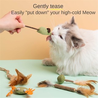 ☌Pet Catnip Toys Edible Catnip Ball Safety Healthy Cat Mint Cats Home ...