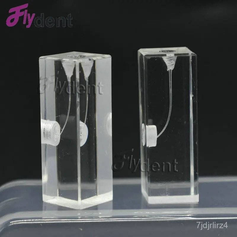 Dental Model Endodontic Root Canal Model Endo Block Student Teach ...